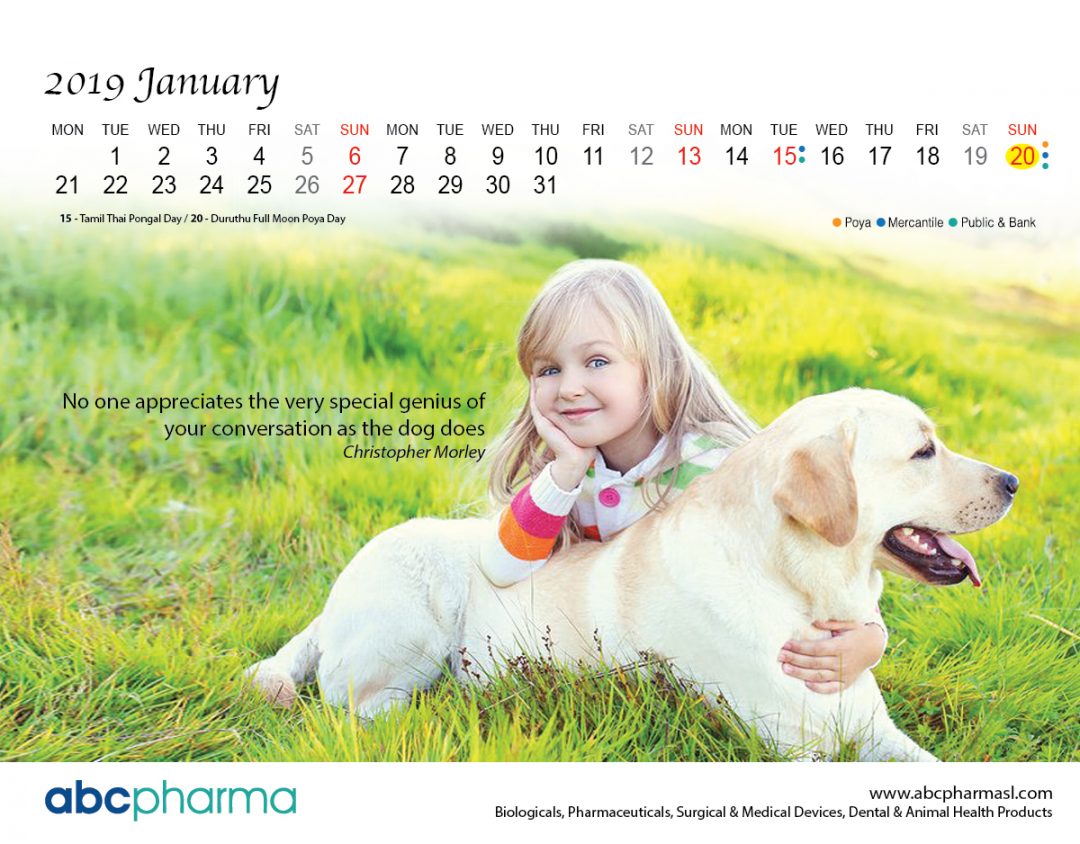 ABOUT US - abc pharma